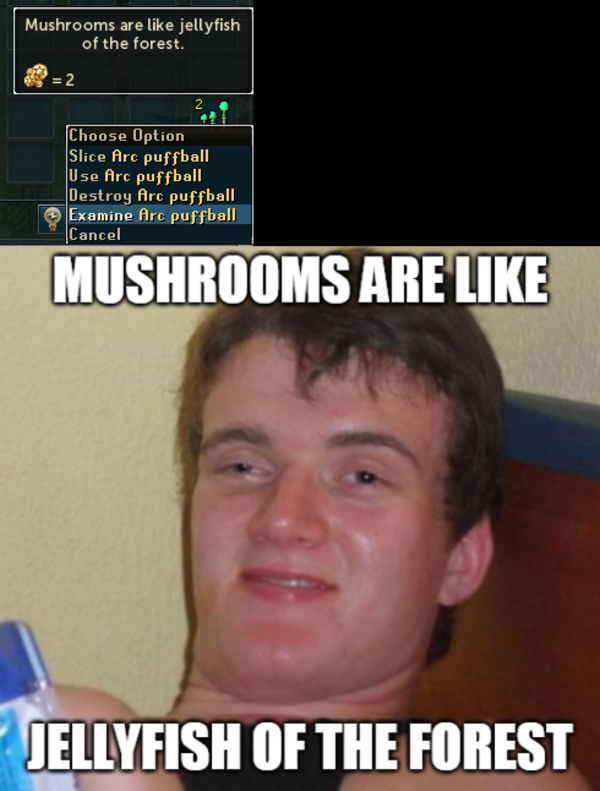 This examine text reminded me of this guy | /r/Runescape/ | RuneScape ...