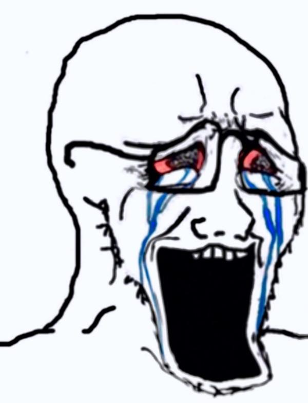 An absolutely destroyed Soyjak | Soy Boy Face / Soyjak | Know Your Meme