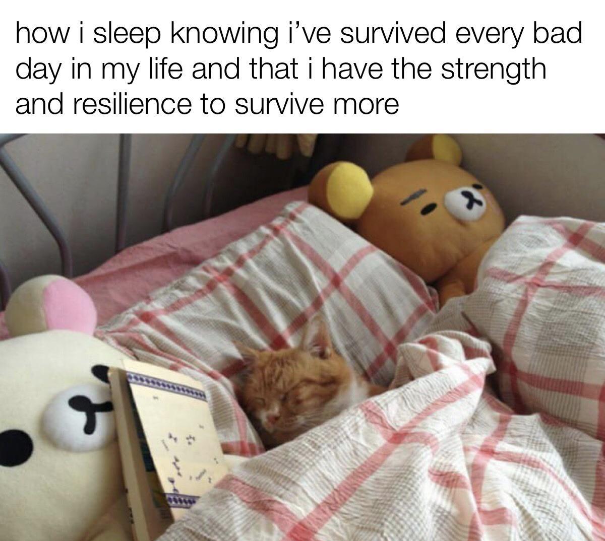 good rest vibes | /r/wholesomememes | Wholesome Memes | Know Your Meme