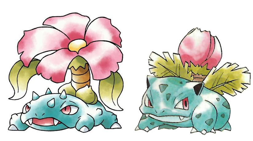 When you expect beta Ivysaur and get this angry boy instead | /r ...