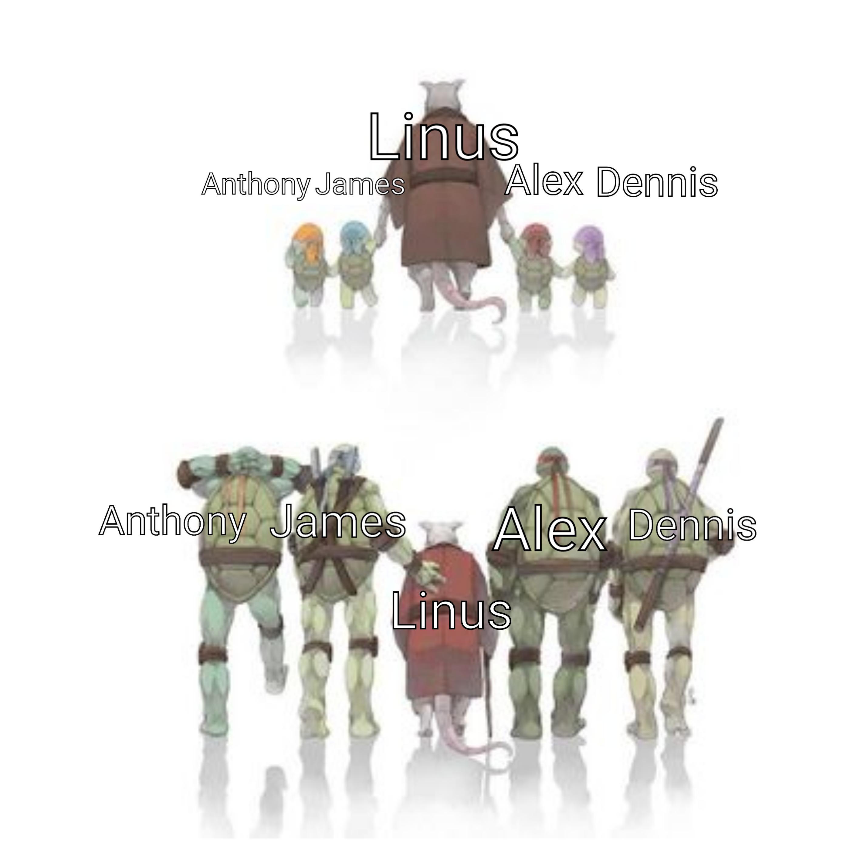 linus turtles | Teenage Mutant Ninja Turtles and Splinter | Know Your Meme