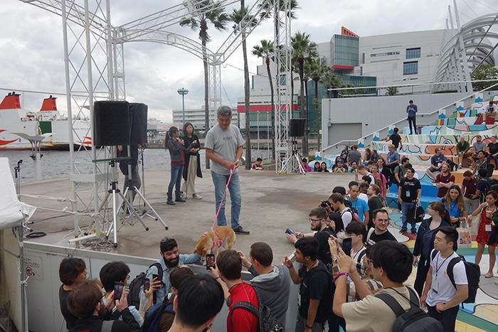 Doge Interview 17 | Doge | Know Your Meme