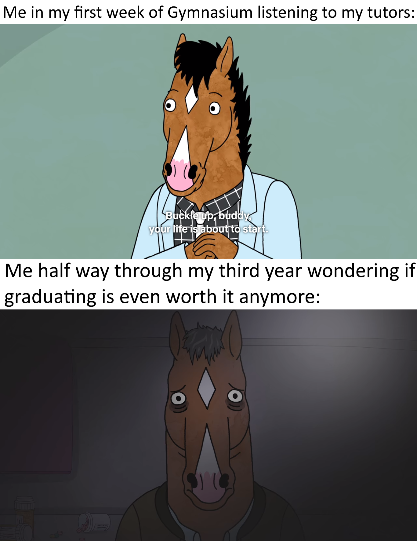 Making a meme out of every episode of Bojack Horseman | s6 ep14 | /r ...