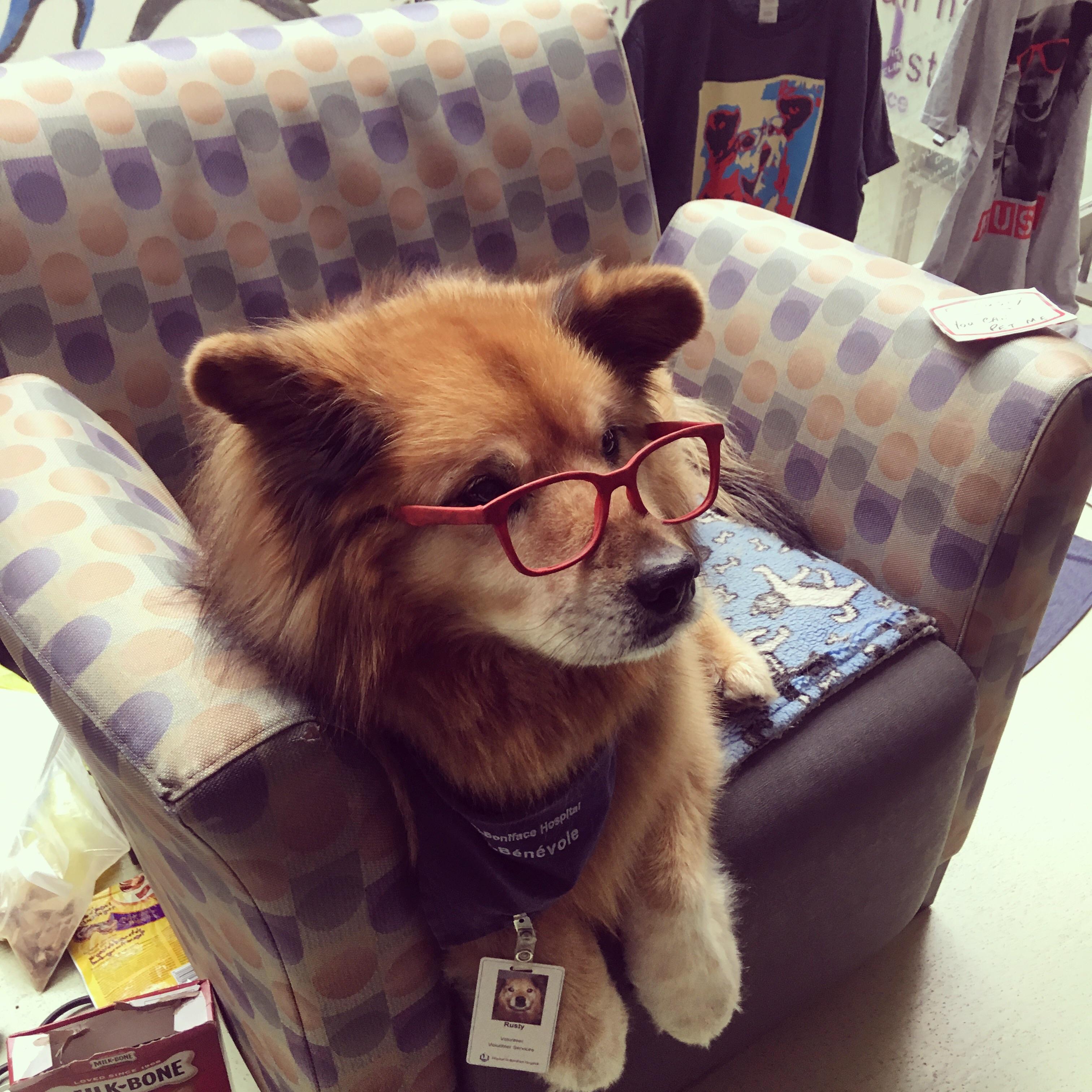 Hospital Dog | Rusty the Therapy Dog | Know Your Meme