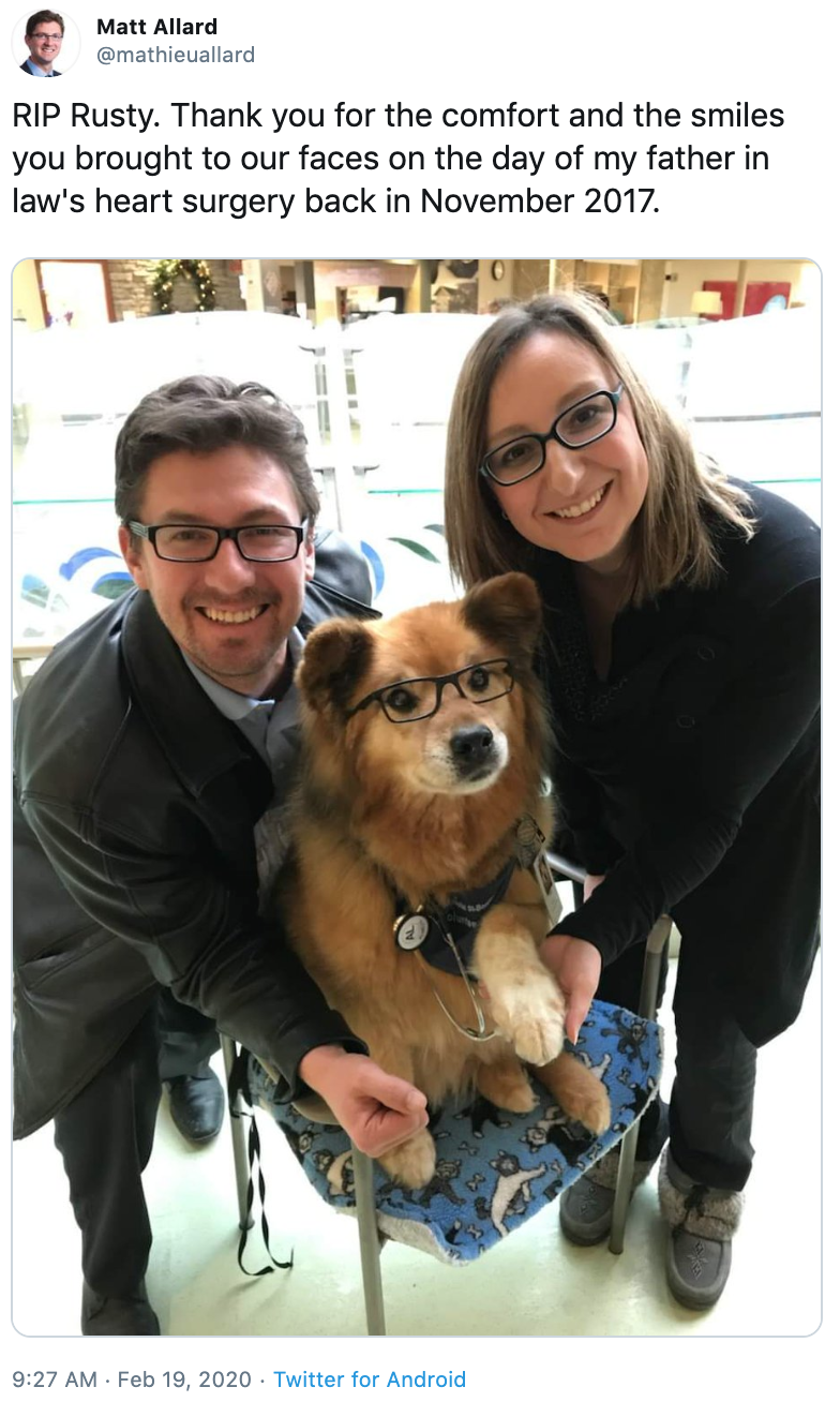 RIP | Rusty the Therapy Dog | Know Your Meme