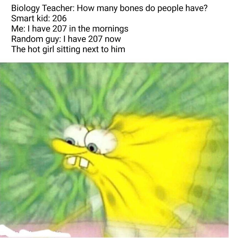 Total bones | /r/BikiniBottomTwitter | SpongeBob SquarePants | Know ...