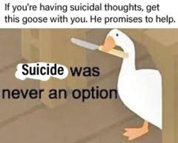 Helpful goose | /r/wholesomememes | Wholesome Memes | Know Your Meme