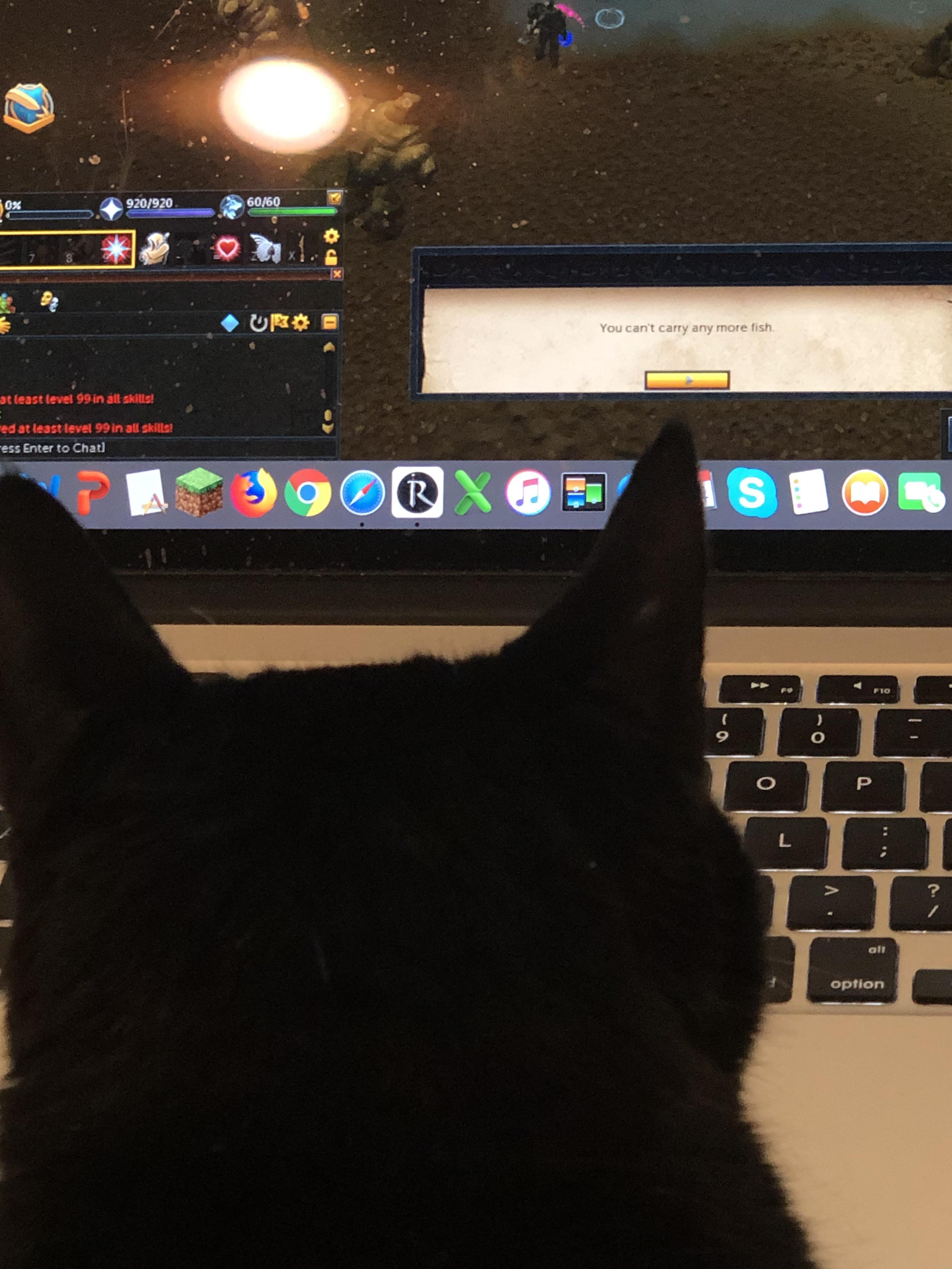 My cat is not happy with this message. | /r/Runescape/ | RuneScape ...
