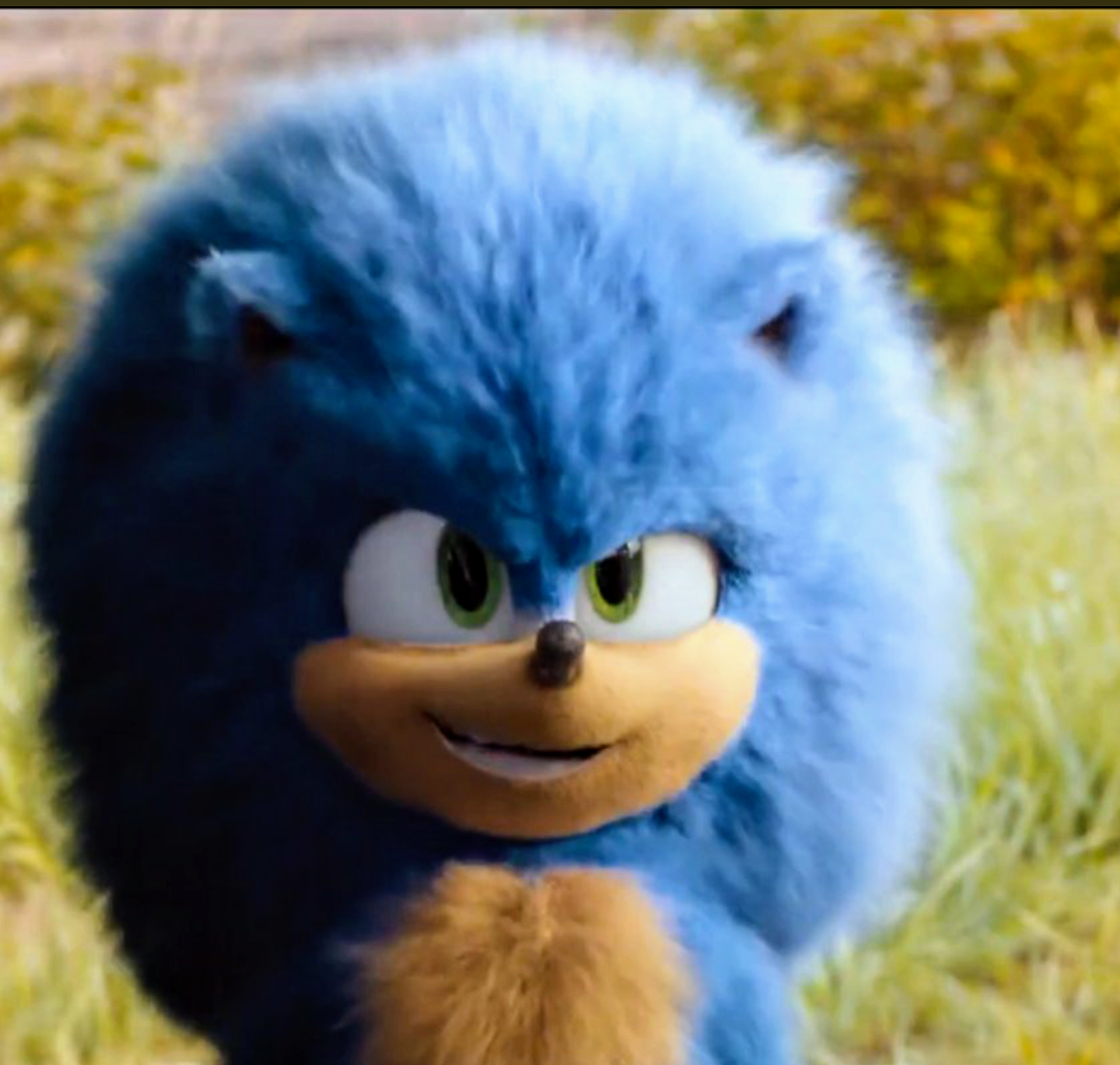 Fluff | Fluffy Sonic | Know Your Meme