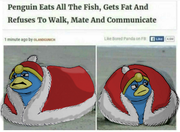 Dedede eats all the Fish | King Dedede | Know Your Meme