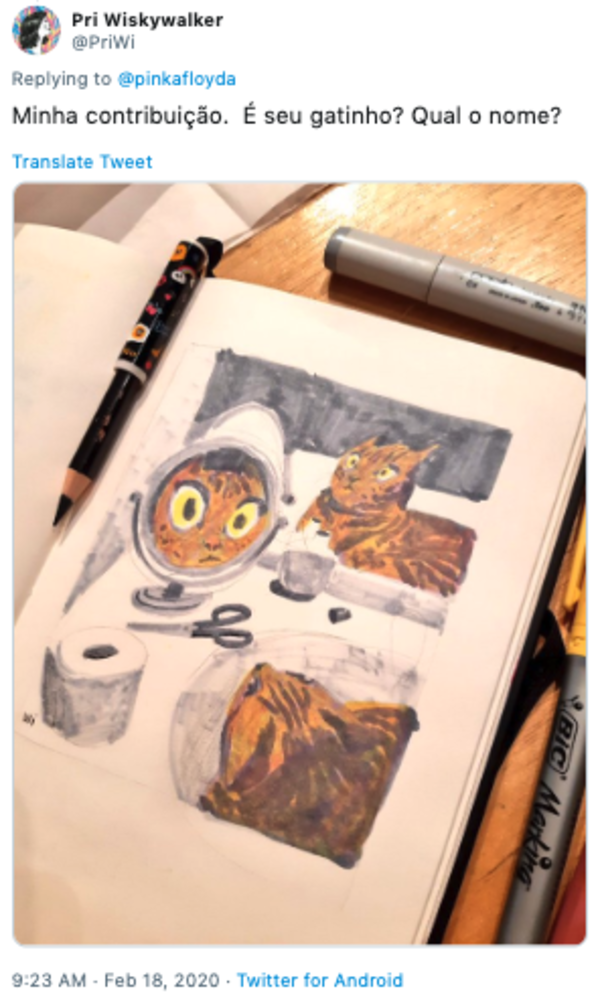 Drawing | Roscoe The Cat Sees Himself | Know Your Meme