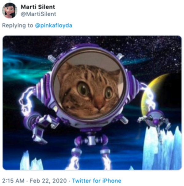 Robo | Roscoe The Cat Sees Himself | Know Your Meme