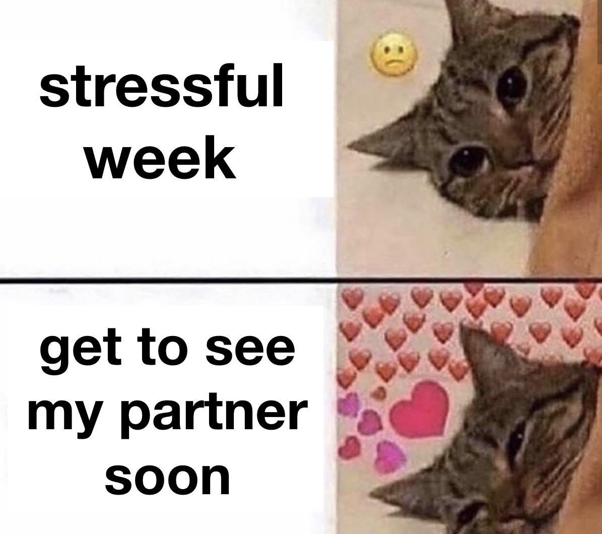 very much looking forward to it | /r/wholesomememes | Wholesome Memes ...