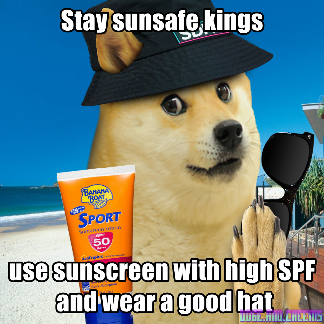 Le sun safety has arrived | /r/dogelore | Ironic Doge Memes | Know Your ...
