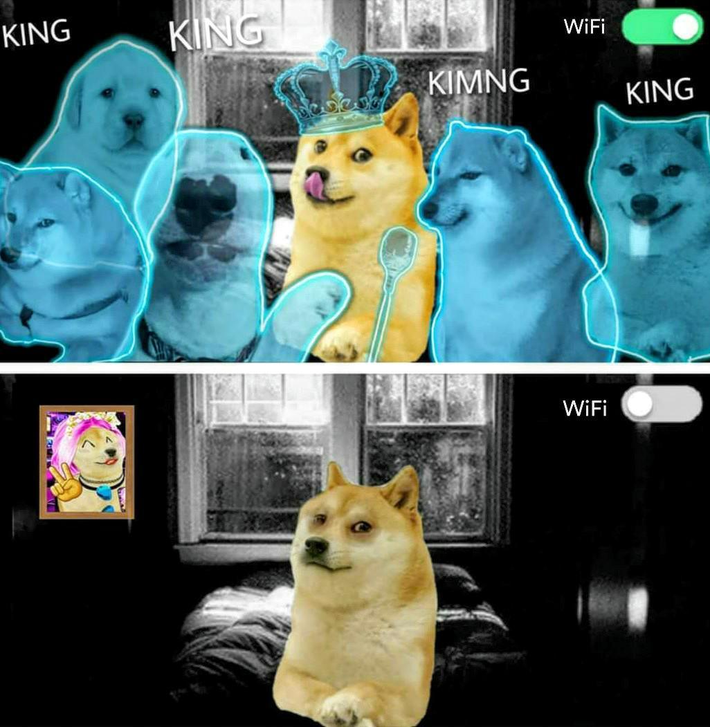 It's all virtual kings, we need support irl | /r/dogelore | Ironic Doge ...