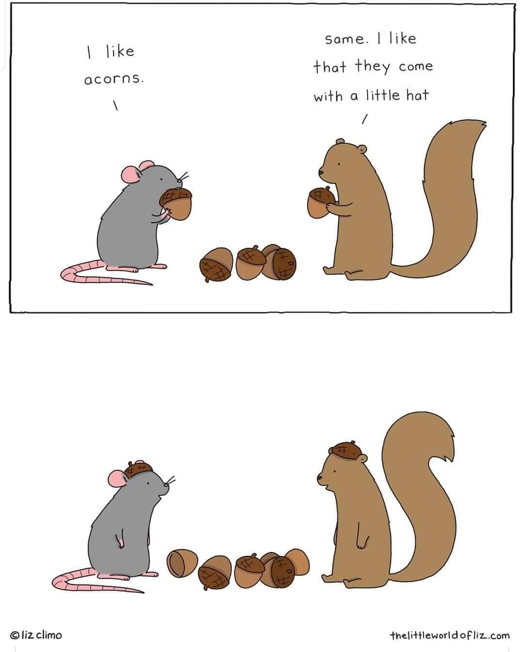 Acorns are cool | /r/wholesomememes | Wholesome Memes | Know Your Meme