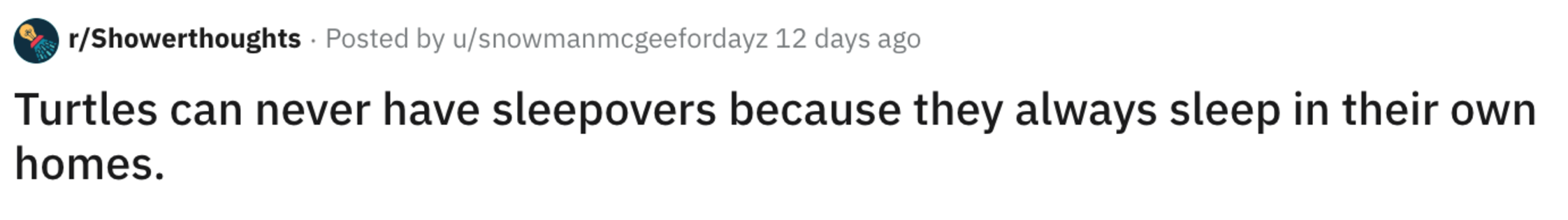 turtles | Shower Thought | Know Your Meme