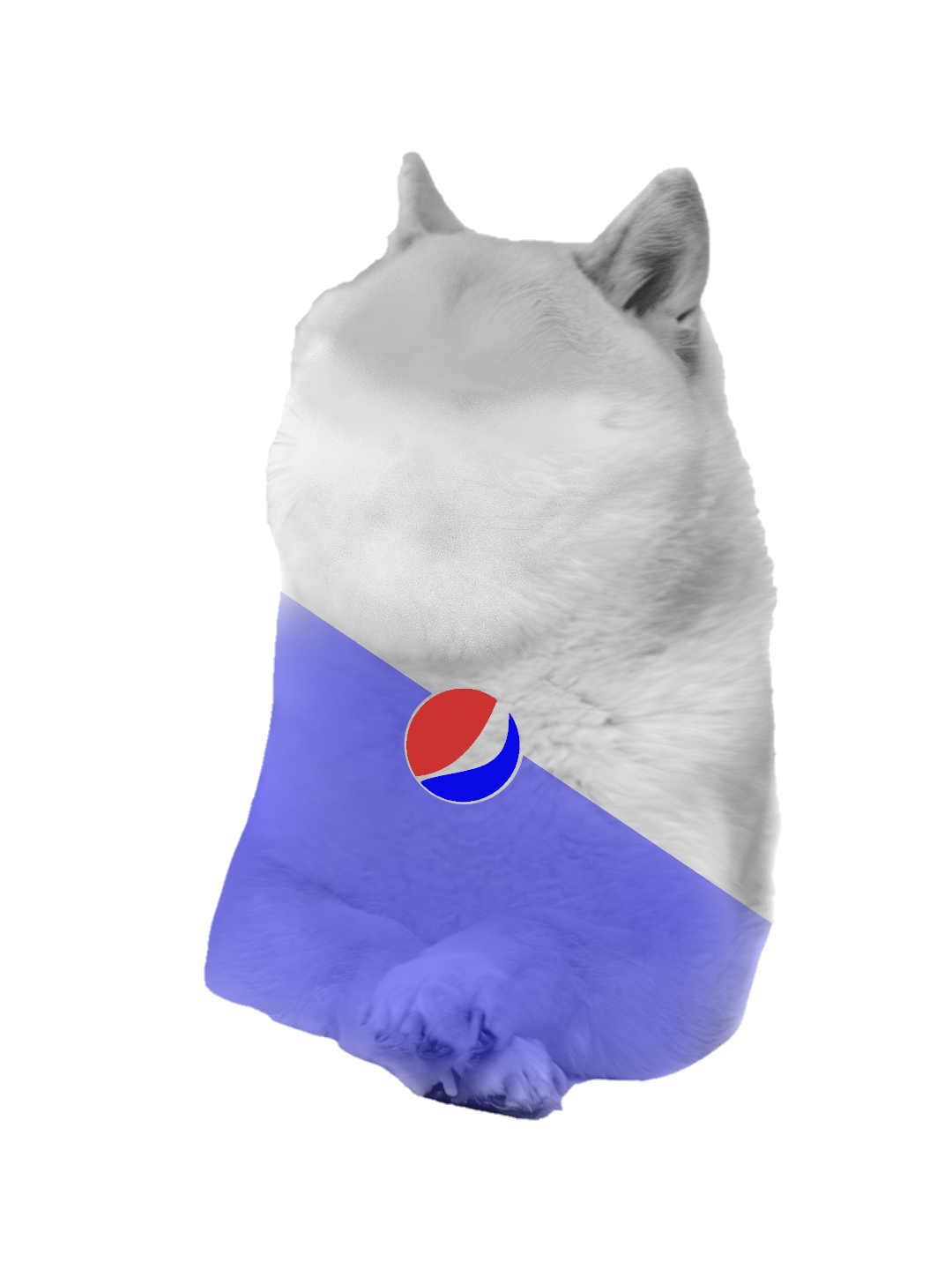 Le Pepsi Doge PNG had arrived | /r/dogelore | Ironic Doge Memes | Know ...