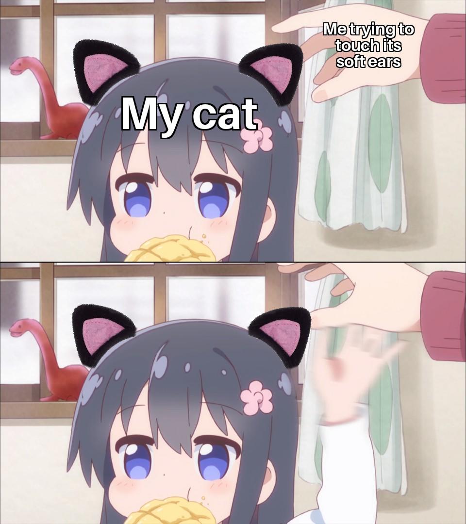 I just wanted to feel the softness of Nekomimis | Wataten!: An Angel ...