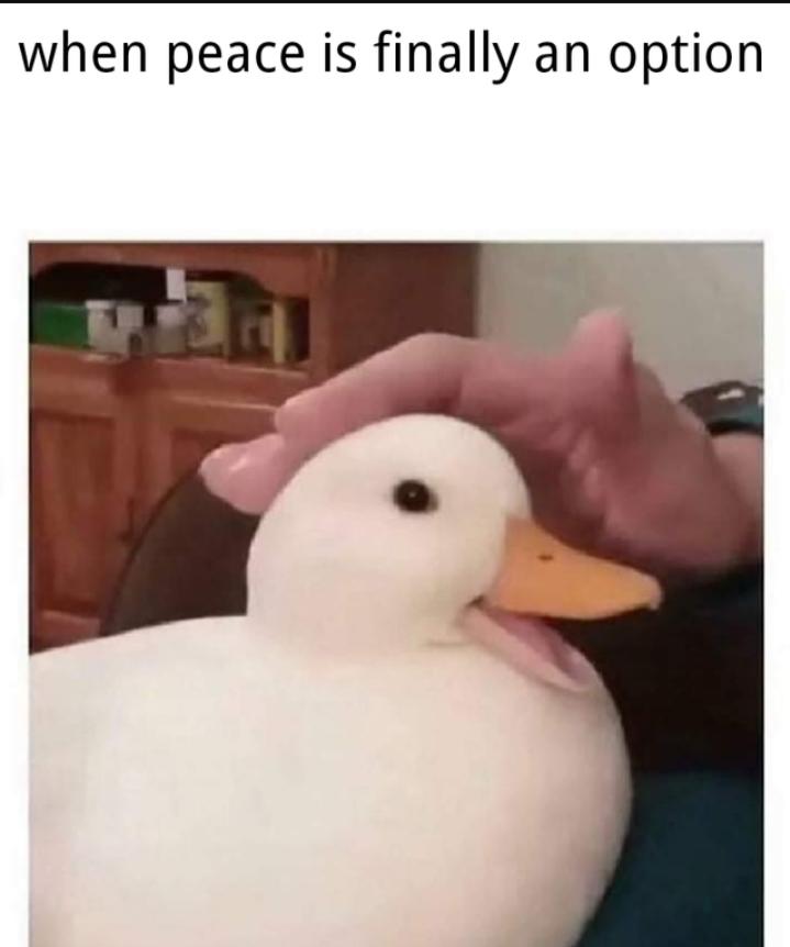 I love peace | /r/wholesomememes | Wholesome Memes | Know Your Meme