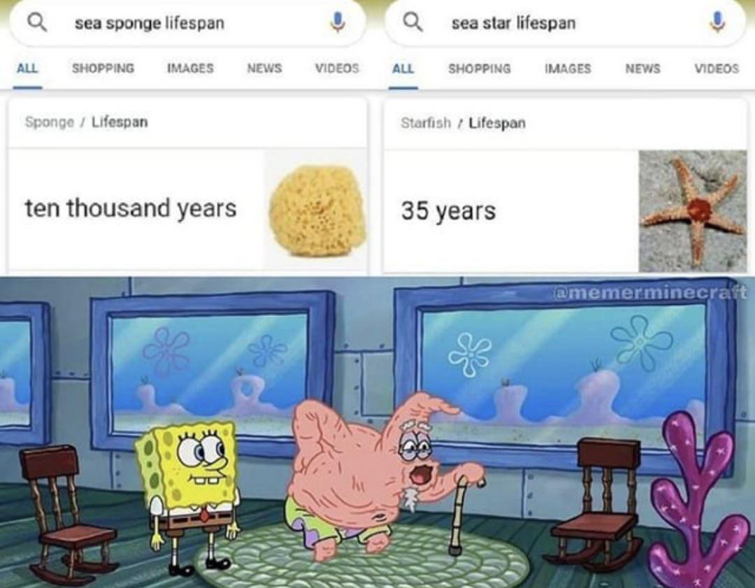 My names not Rick | /r/BikiniBottomTwitter | SpongeBob SquarePants ...