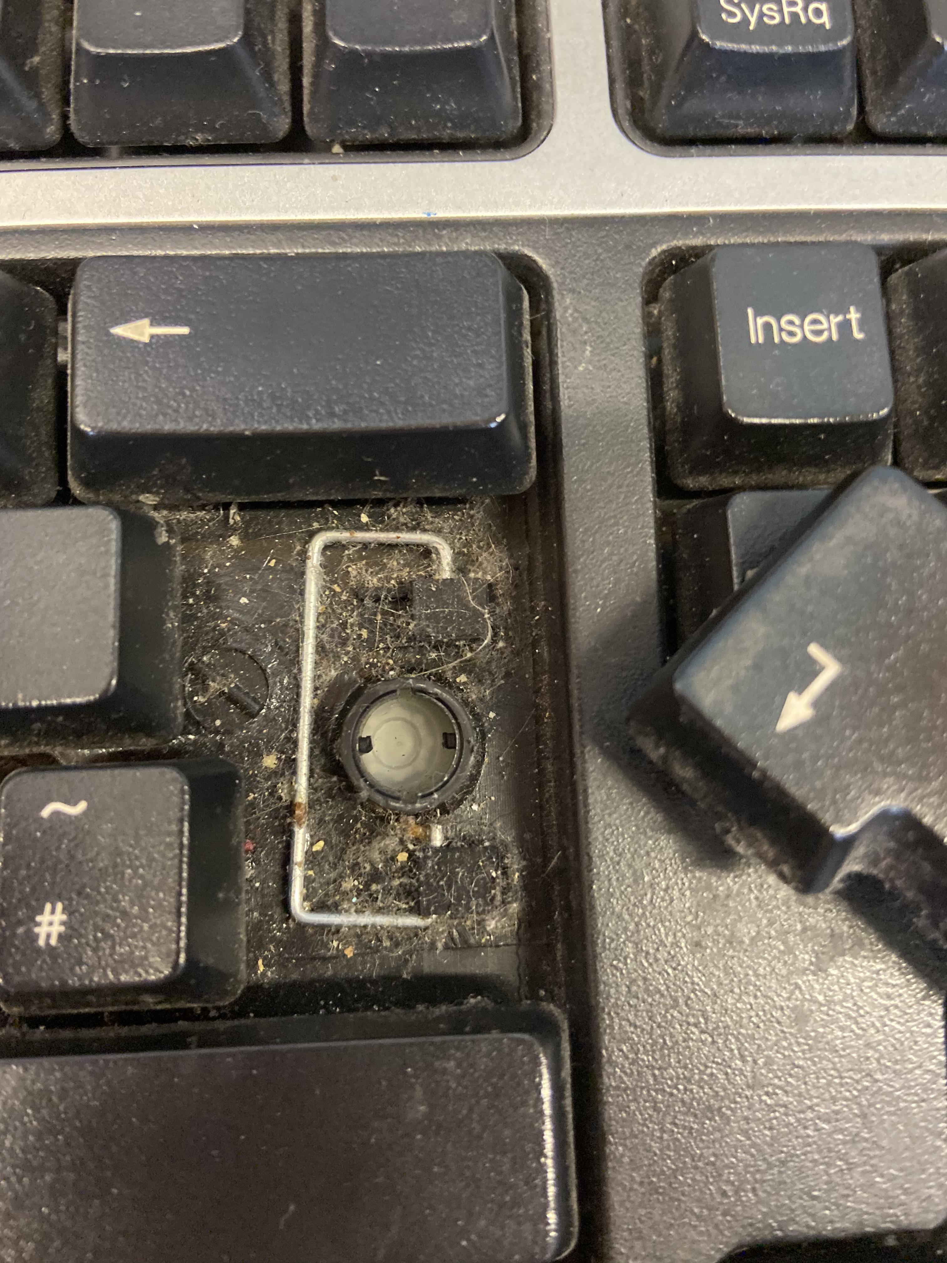 How dirty the keyboards at school are. | /r/MildlyInfuriating | Mildly ...