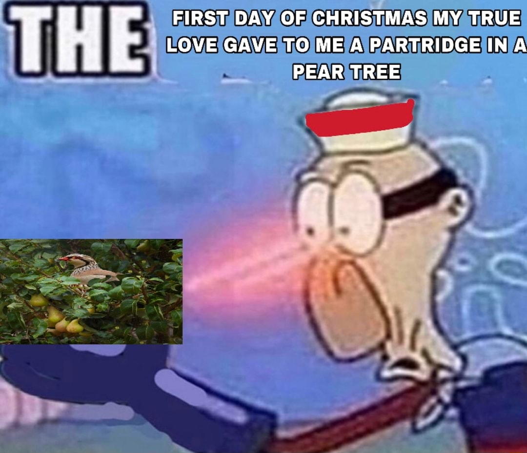 The First Day of Christmas | Barnacle Boy's Sulfur Vision | Know Your Meme