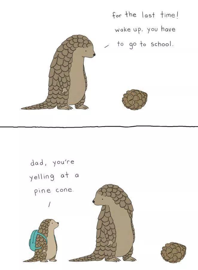 blessed pangolin | /r/wholesomememes | Wholesome Memes | Know Your Meme