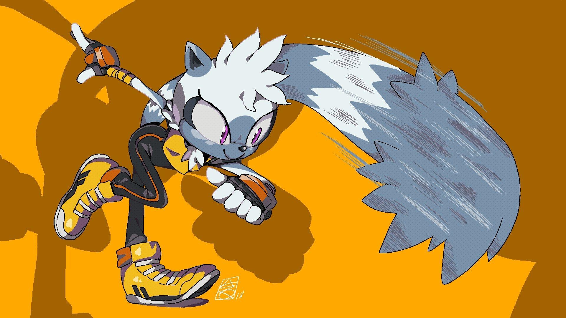 Fwap! | Sonic the Hedgehog | Know Your Meme