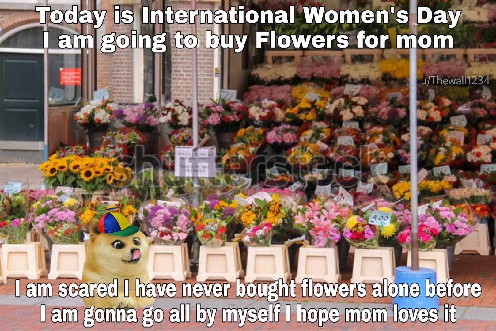 Women's day has arrived | /r/wholesomememes | Wholesome Memes | Know ...