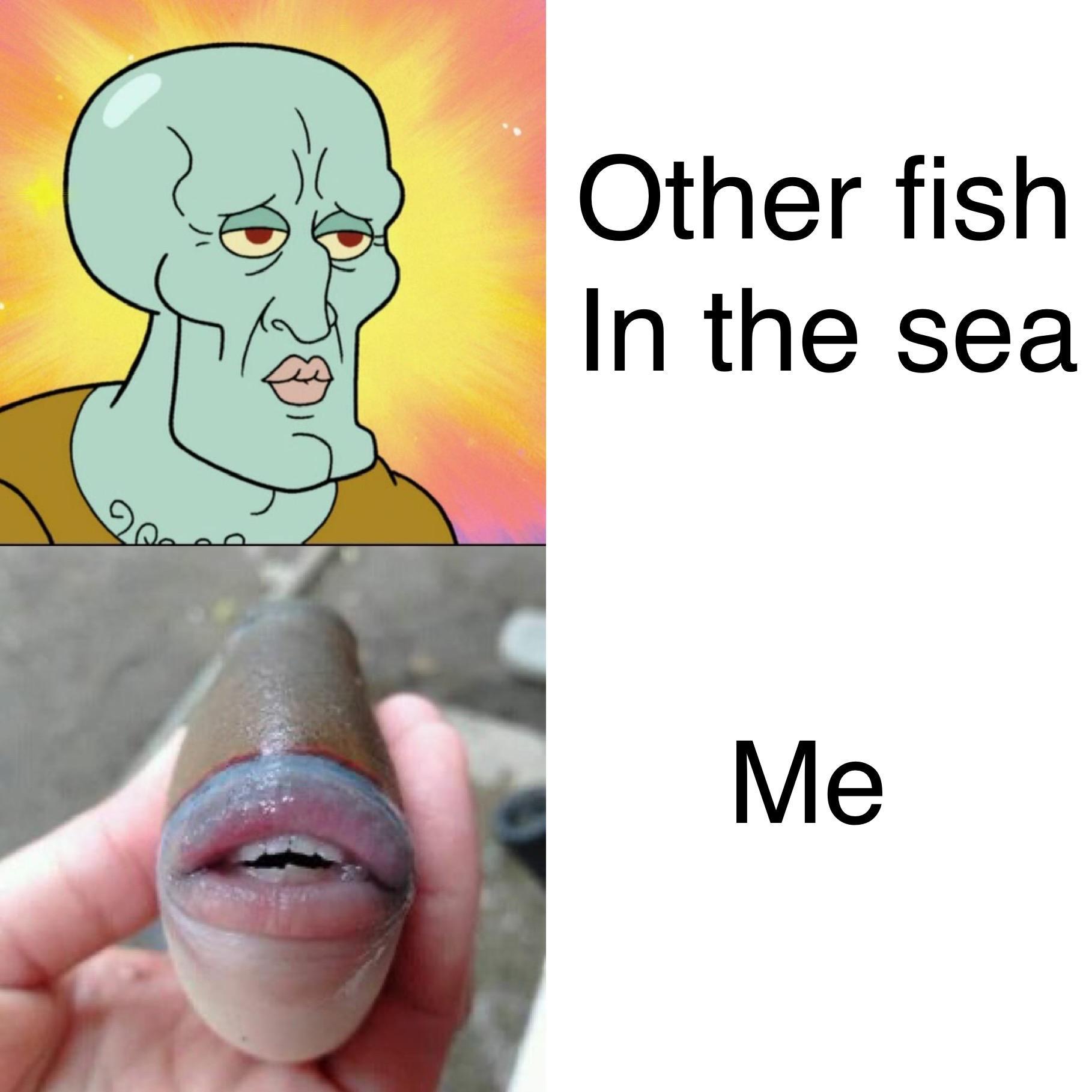 There’s always other fish in the sea | /r/BikiniBottomTwitter ...