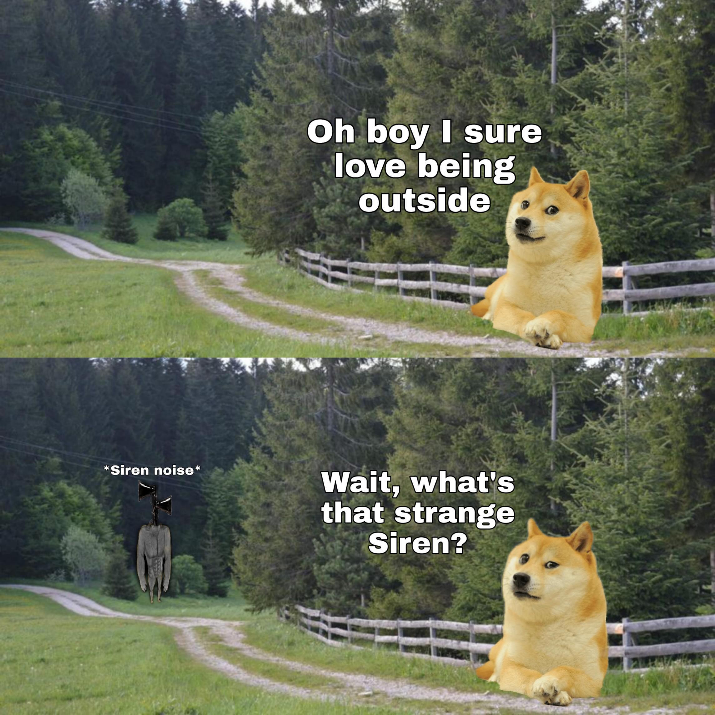 Le Siren head has arrived | /r/dogelore | Ironic Doge Memes | Know Your ...