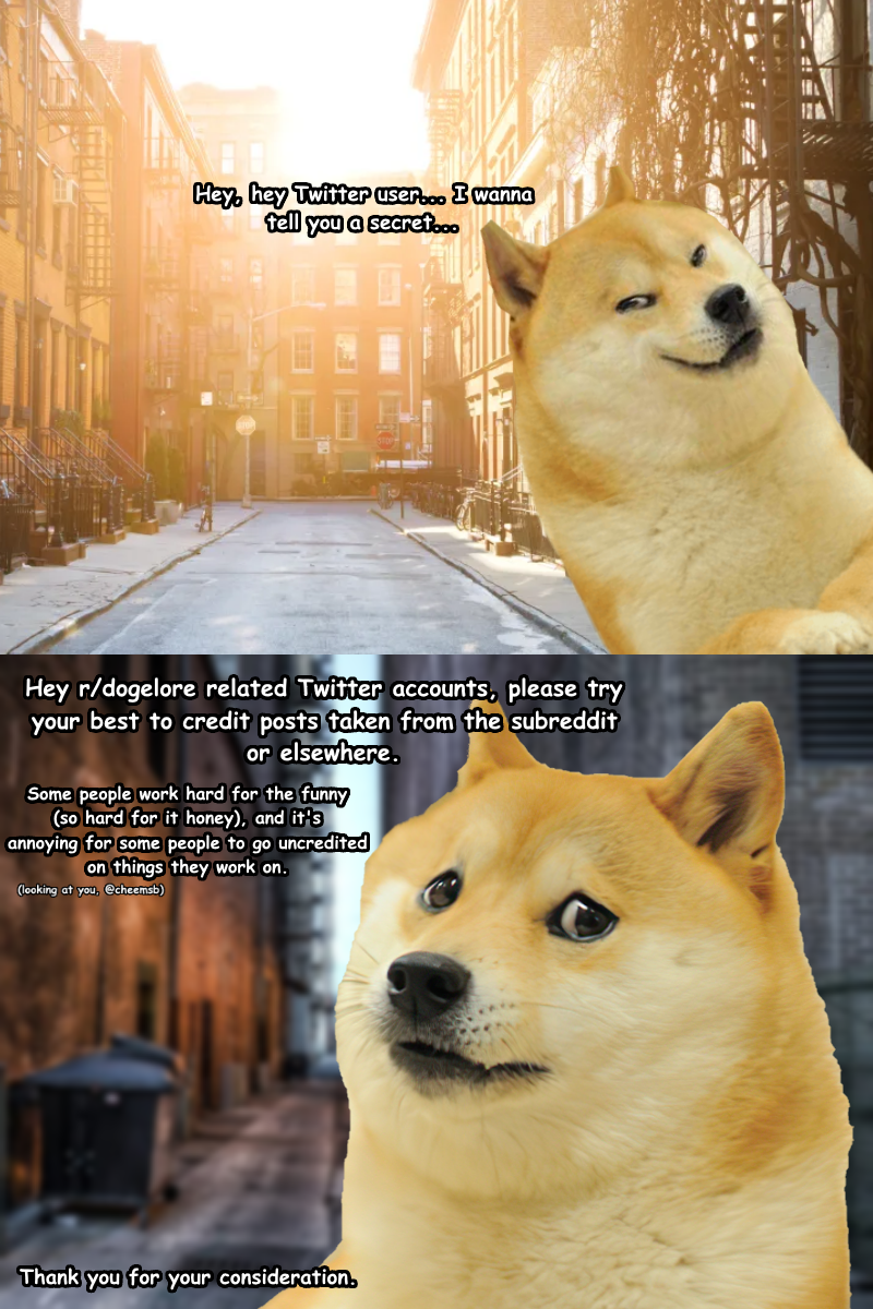 the state of this subreddit smh!!!! | /r/dogelore | Ironic Doge Memes ...