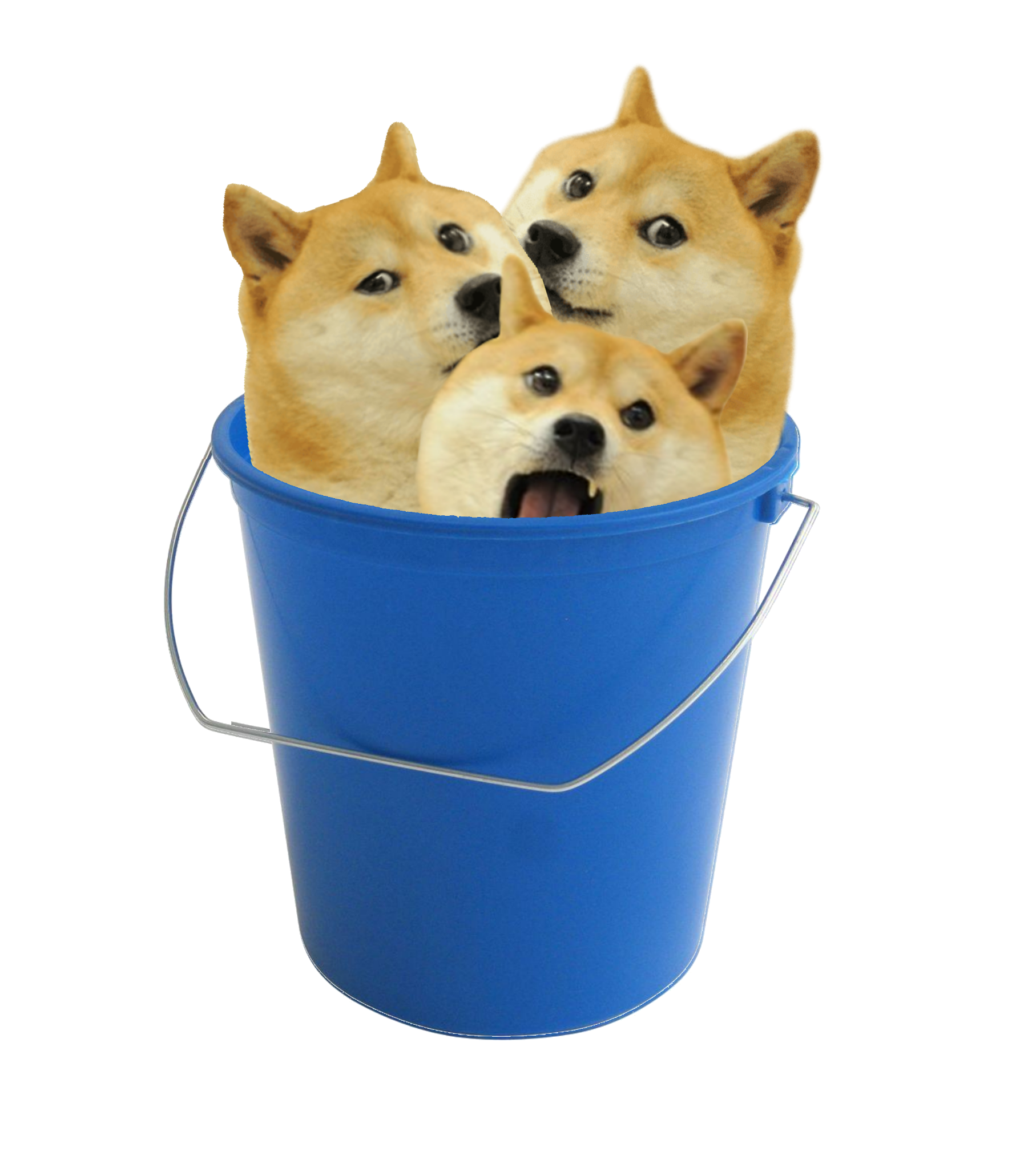 Le Doges In a Bucket has arrived | /r/dogelore | Ironic Doge Memes ...