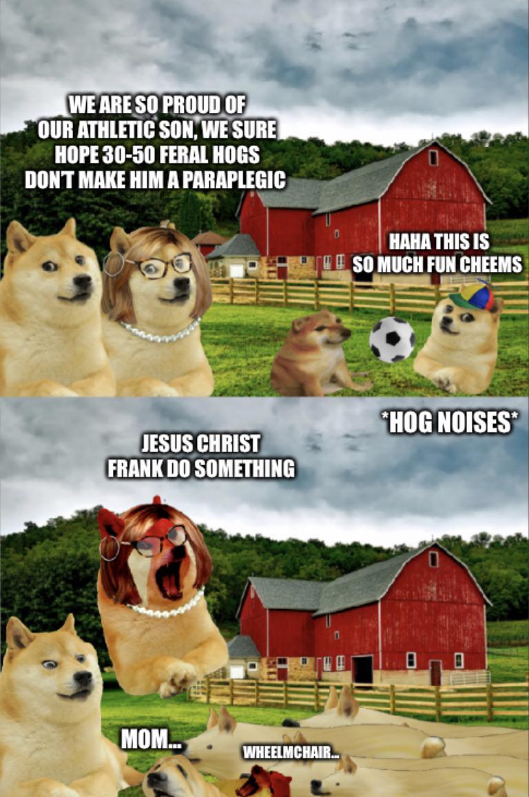 Le 30-50 feral hogs have arrived | /r/dogelore | Ironic Doge Memes ...