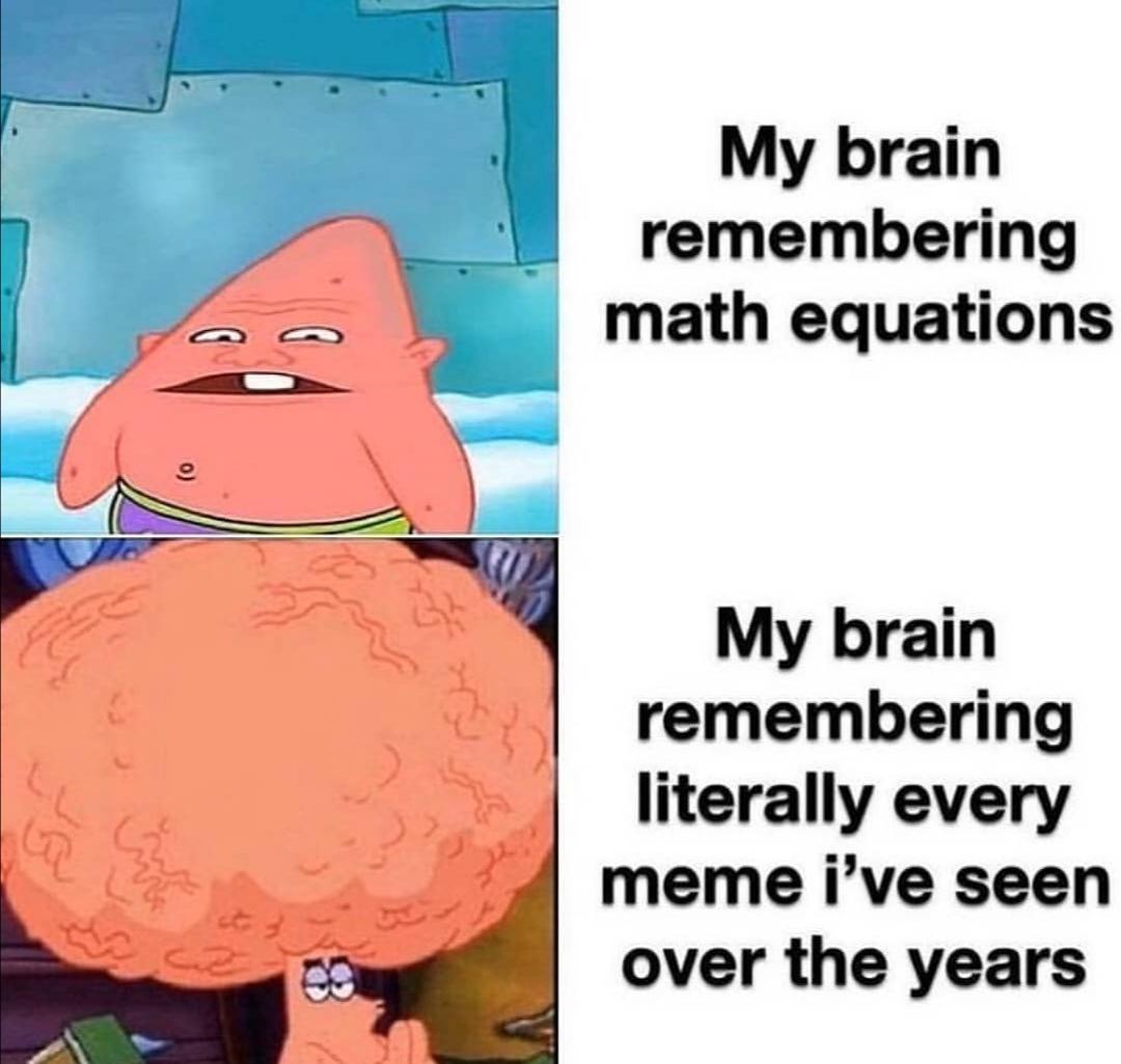 The left side of my brain is full of Memes and the right side is the ...