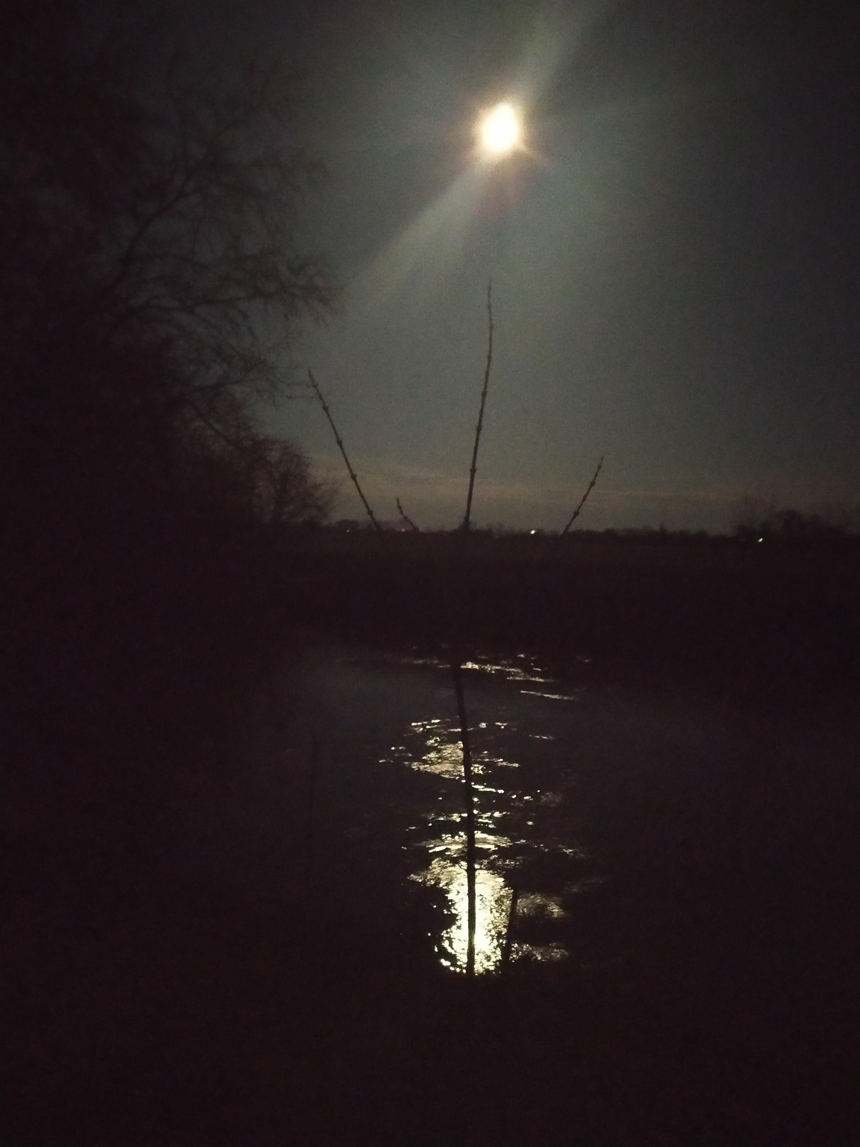 Mesmerizing full moon turned my night walk into a daywalk. | /r/Doomers ...