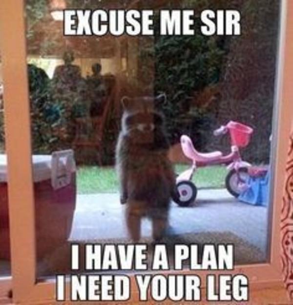 but I don't have any prostetics | Guardians of the Galaxy | Know Your Meme