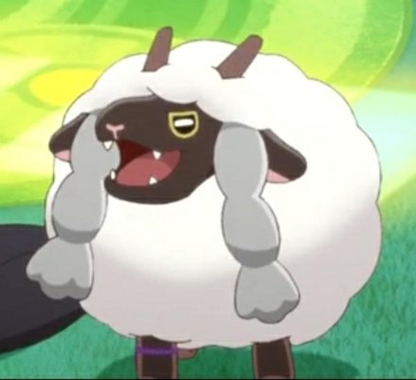 Wooloo trying to be like Charizard | Wooloo | Know Your Meme