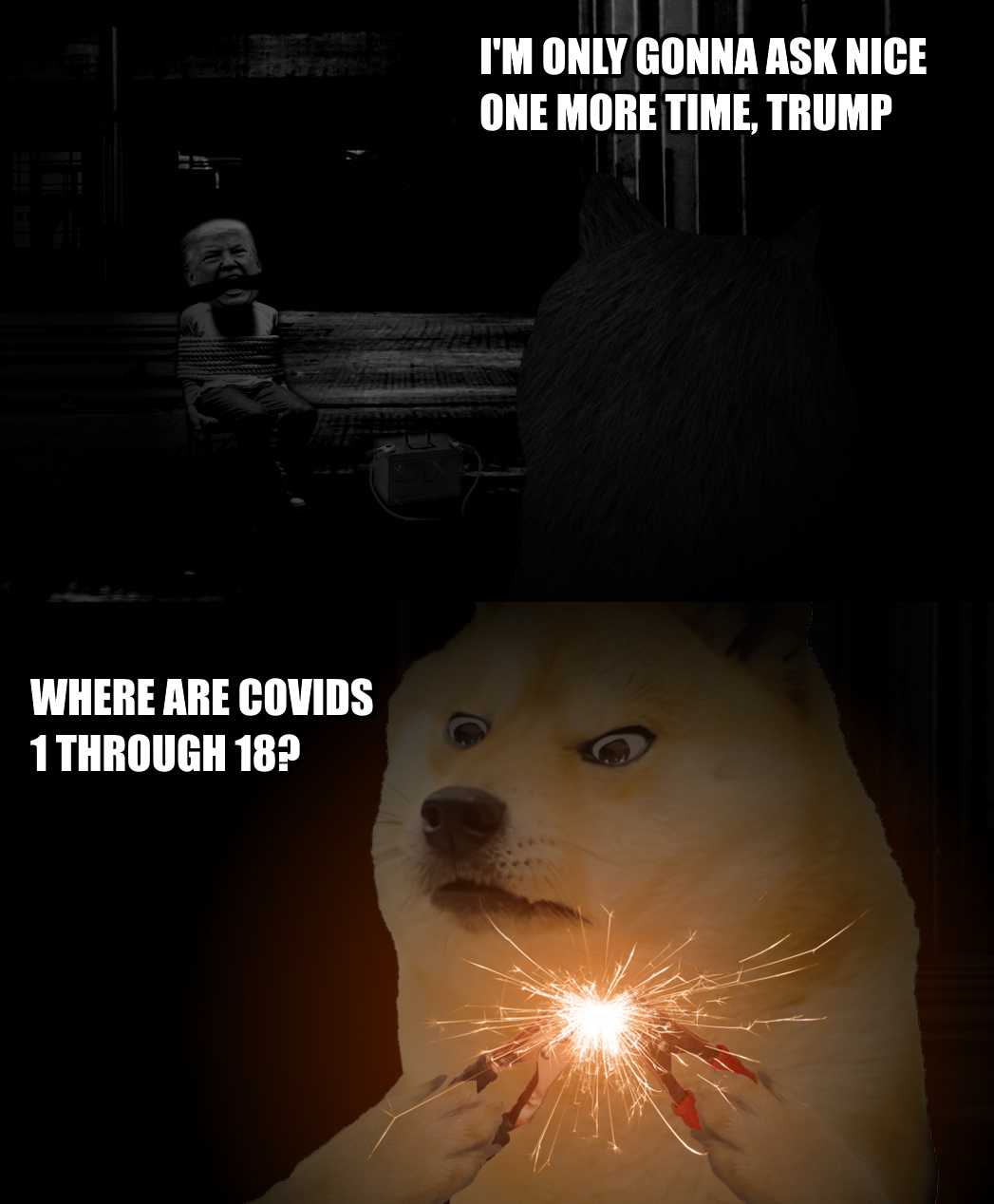 le enhanced interrogation techniques have arrived | /r/dogelore ...