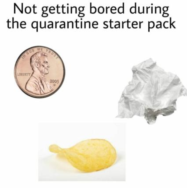 Take it away penny! | /r/BikiniBottomTwitter | SpongeBob SquarePants ...