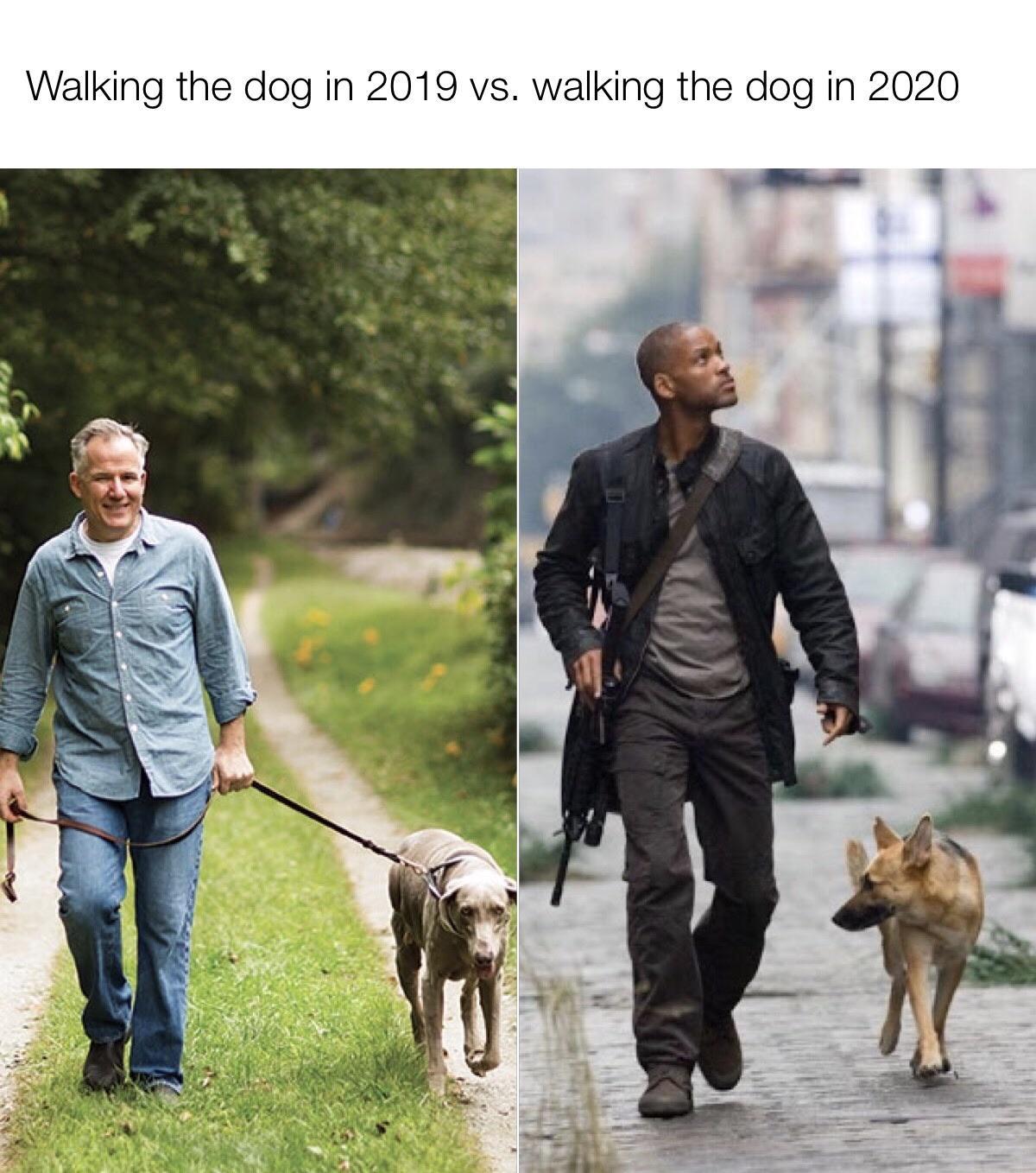 Lockdown be like | /r/memes | Know Your Meme