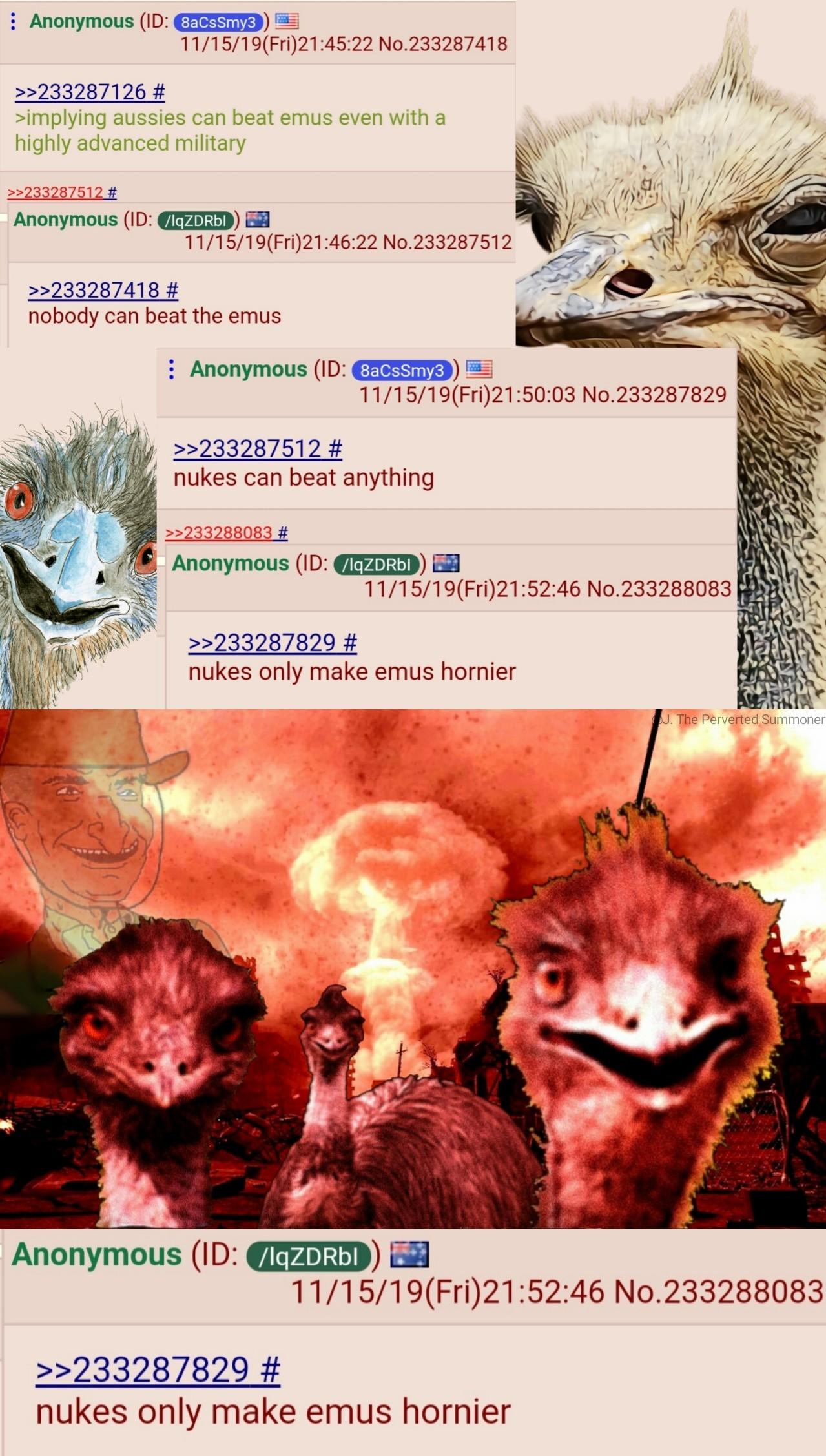 Nukes only make emus hornier | Emu War | Know Your Meme