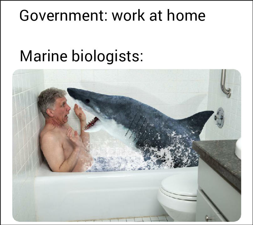 How bout that | /r/memes | Government: Work From Home | Know Your Meme