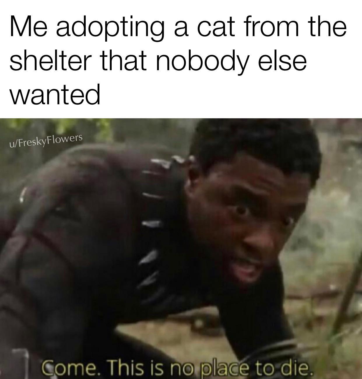 You’re in good hands | /r/wholesomememes | Wholesome Memes | Know Your Meme