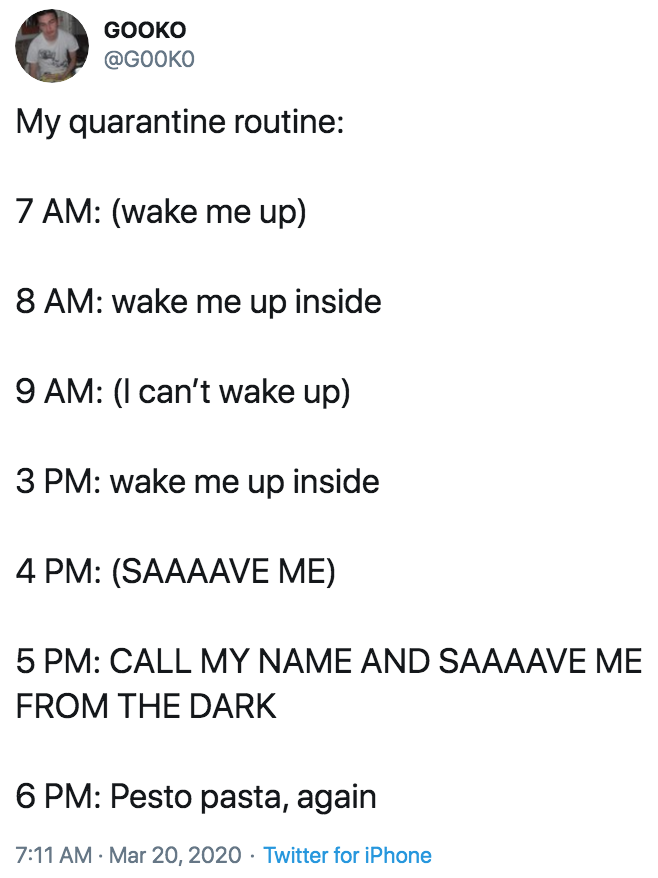 My quarantine routine: 7 AM: (wake me up) 8 AM: wake me up inside 9 AM ...