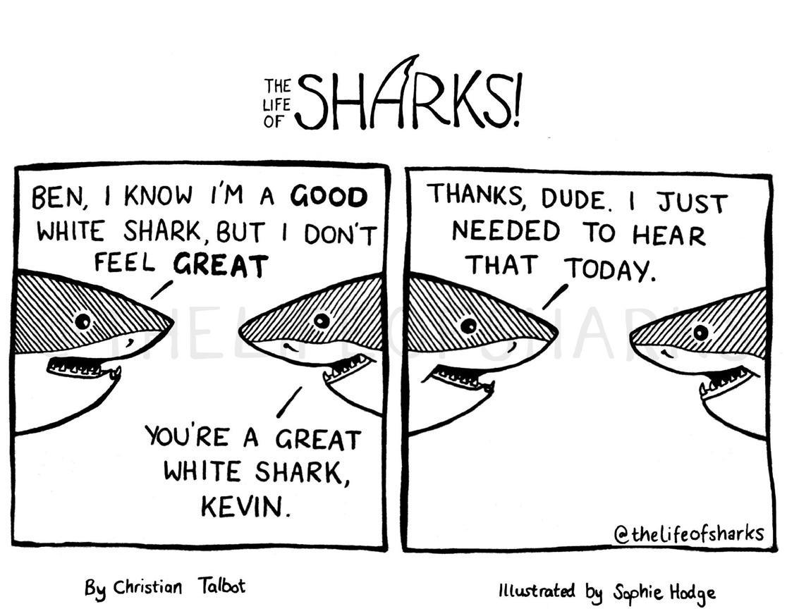 You’re great Kev | /r/wholesomememes | Wholesome Memes | Know Your Meme