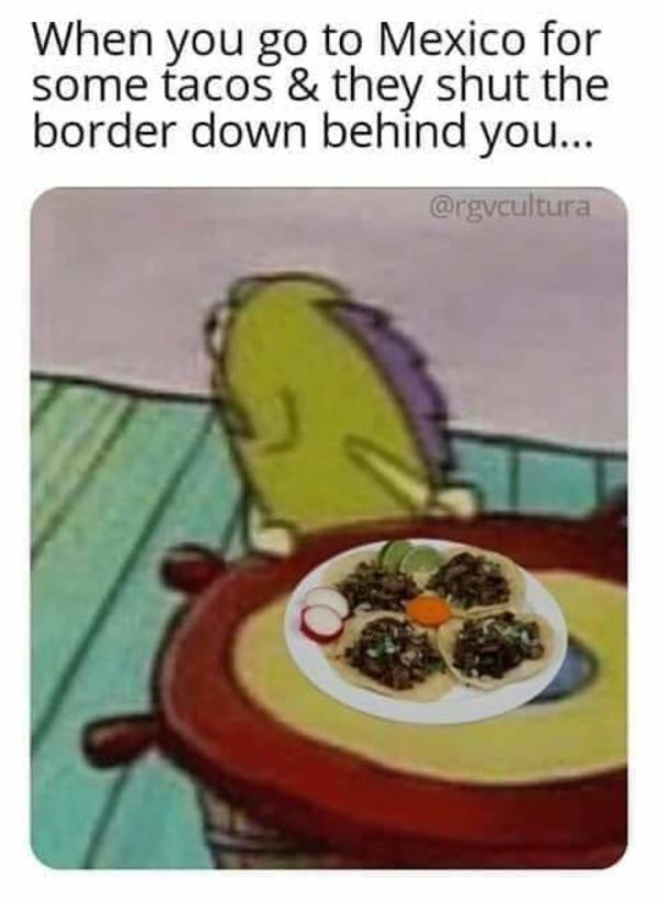 But the Tacos... | /r/BikiniBottomTwitter | ModCheck / Fish Turns ...