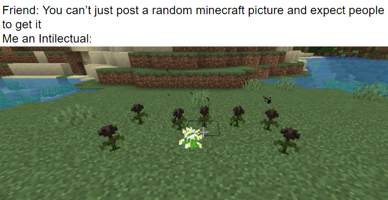 just a random picture | /r/MinecraftMemes | Minecraft | Know Your Meme