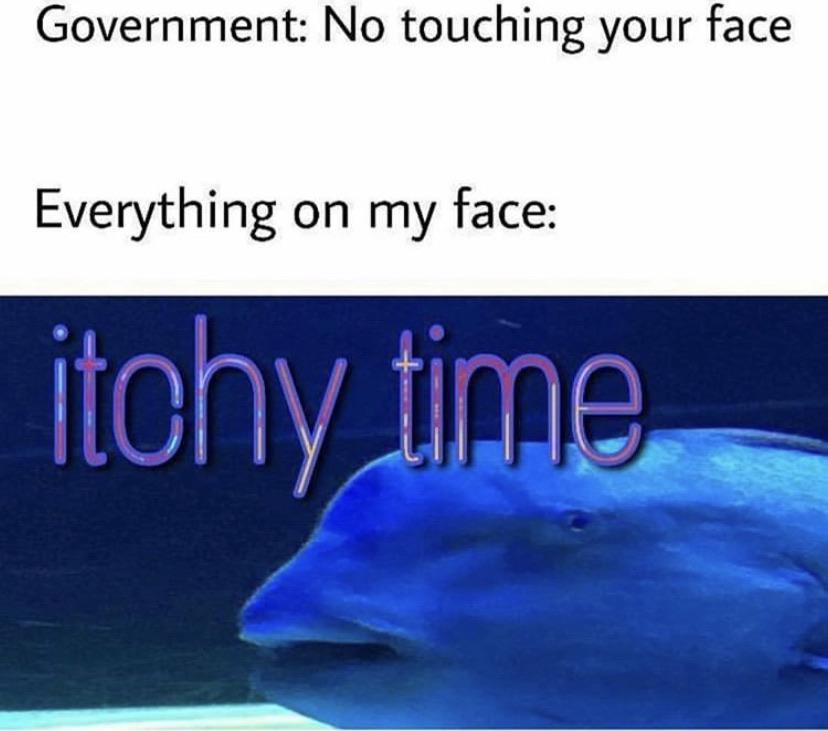 Itchy Time | Don't Touch Your Face | Know Your Meme